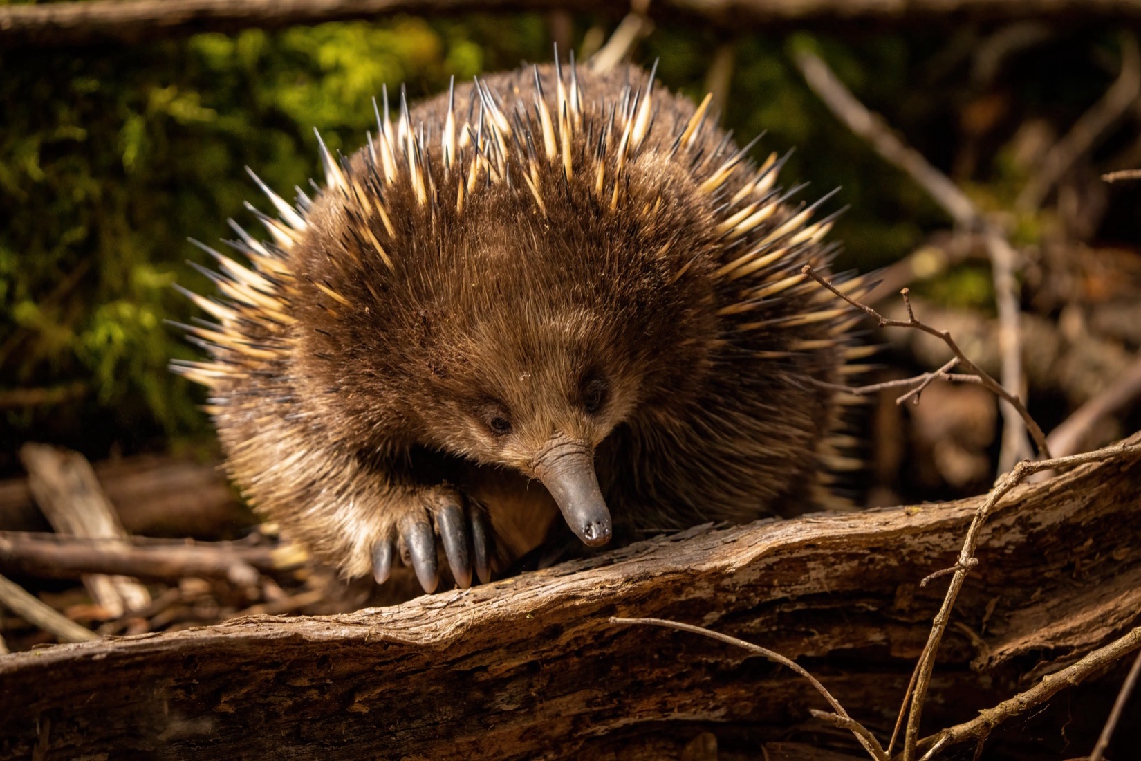 What’s in My Camera Bag: Australia