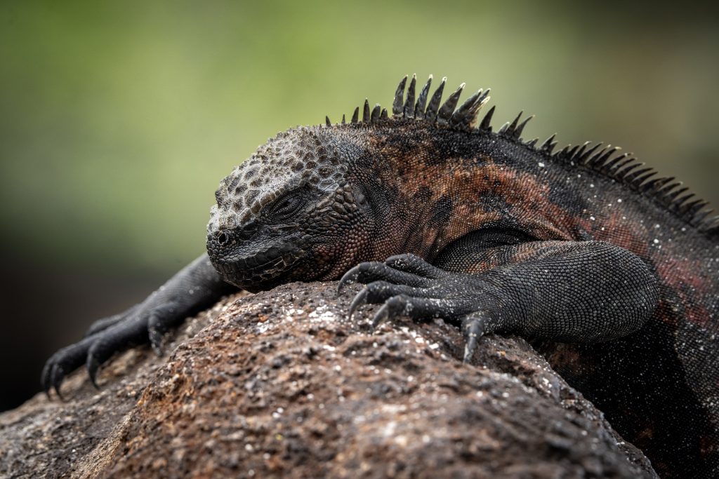 Previsualization – The Art of Picturing your Pictures