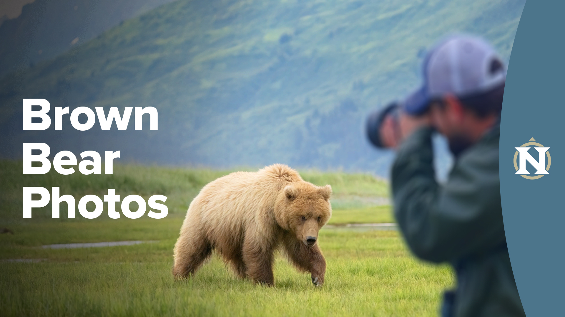 How to Photograph Bears in Lake Clark National Park