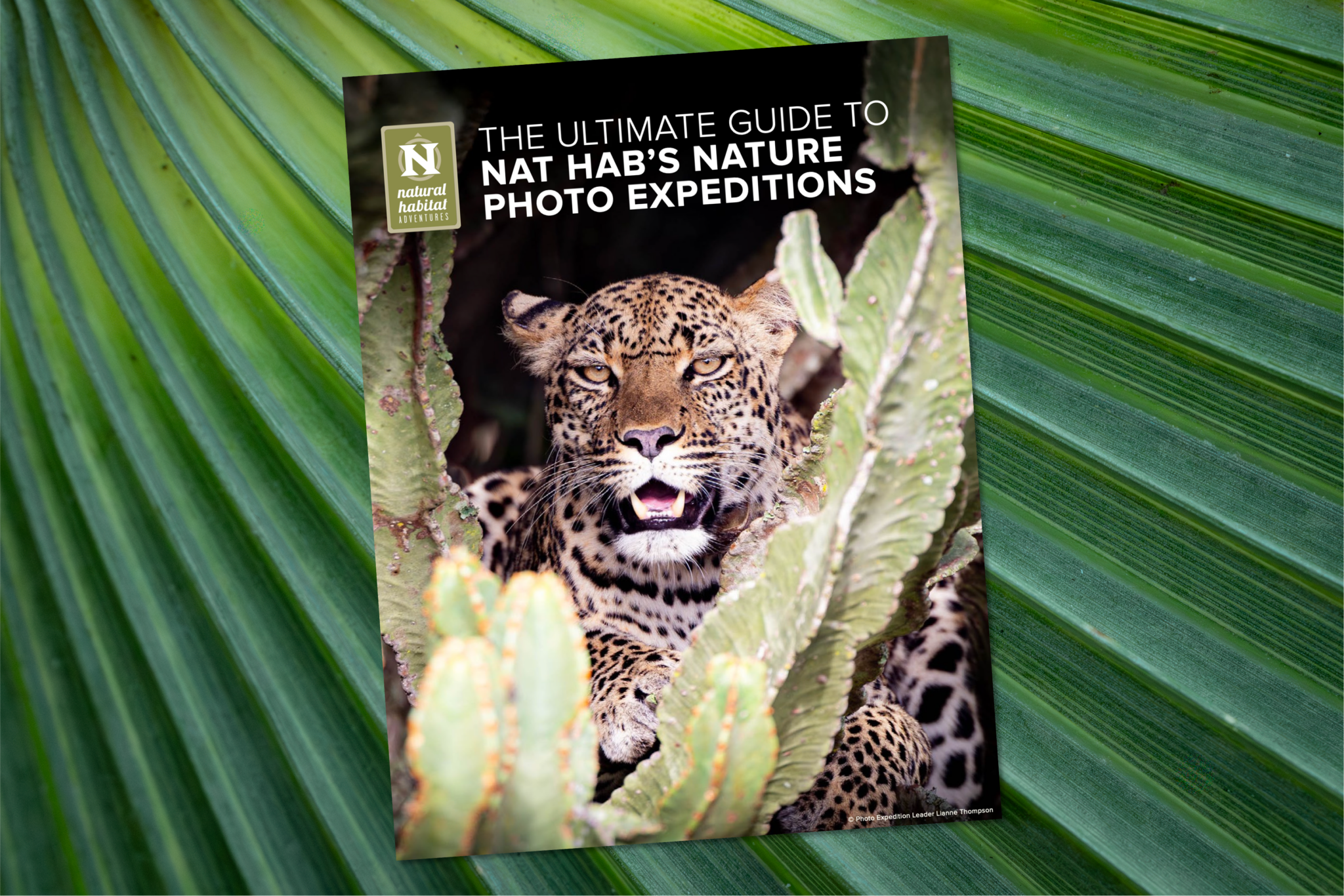 The Natural Photographer | Expert Nature Photography Tips